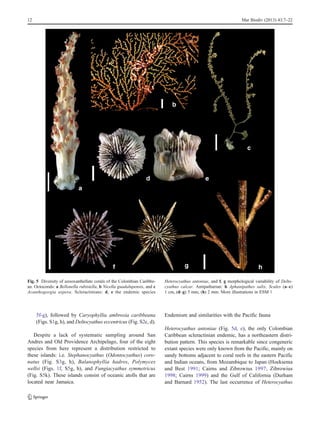 (2013) - Santodomingo - Corals colombia.pdf | Zoos & Aquariums ...
