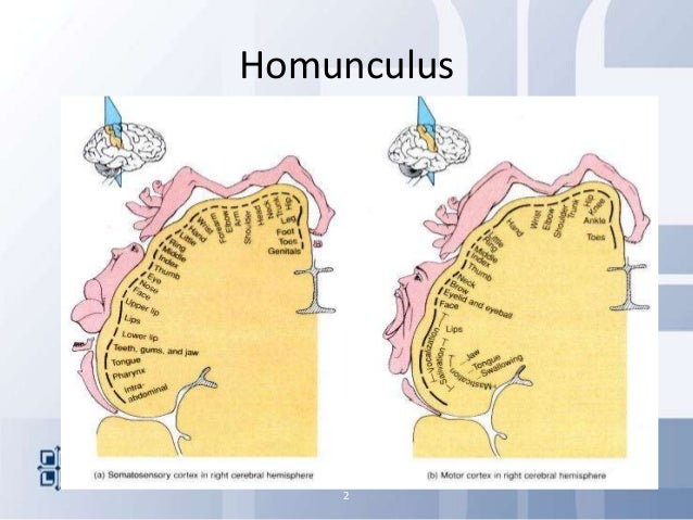 2013.stroke areyouready