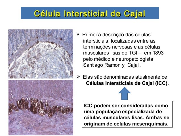 2013 to fisiologia sgi-i
