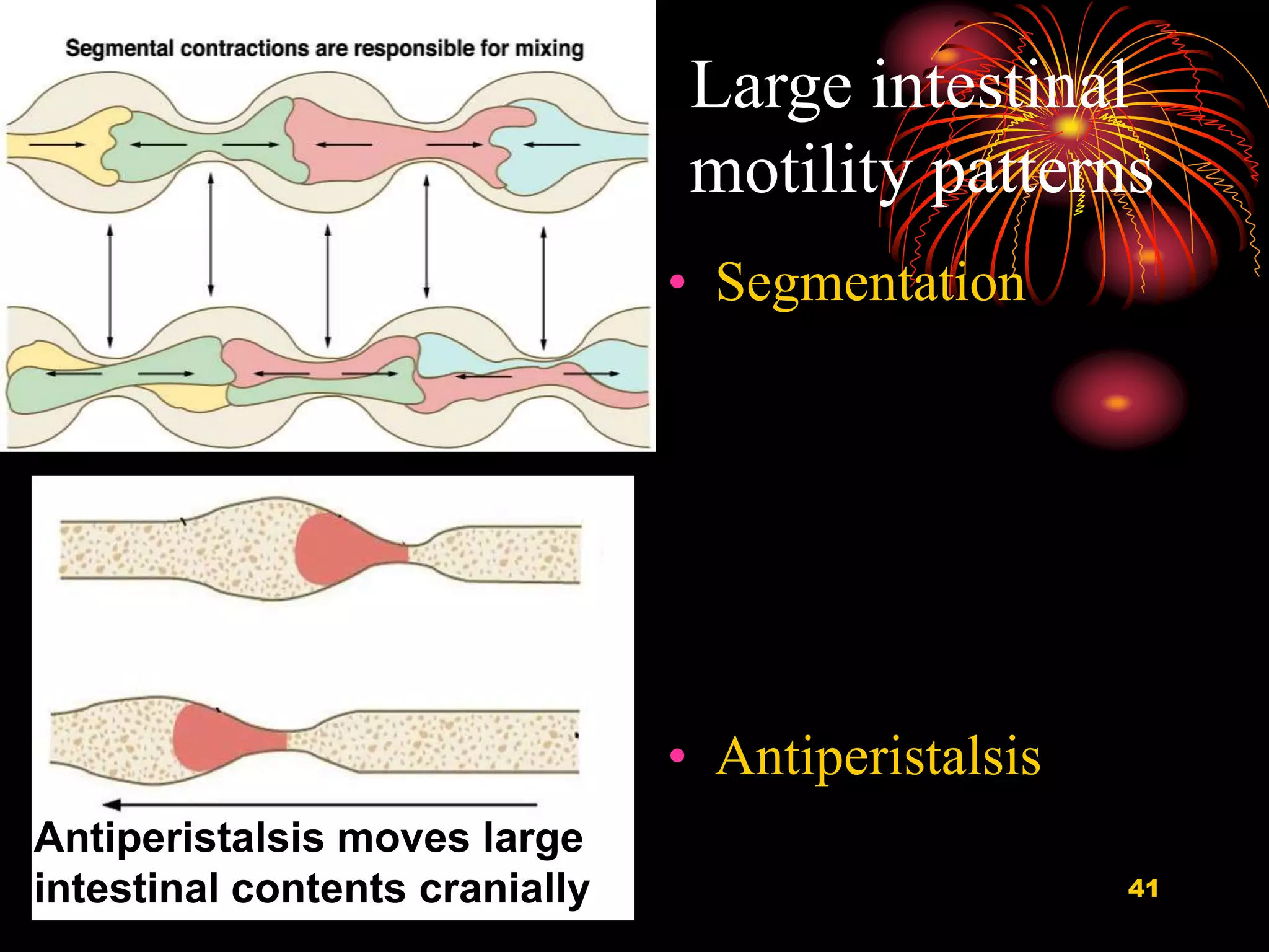 Motility in small intestine | PPT