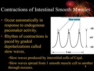 Motility in small intestine | PPT