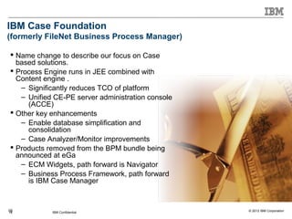 2013 06 04_5228_case_manager_overview__micha | PPT