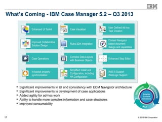 2013 06 04_5228_case_manager_overview__micha | PPT
