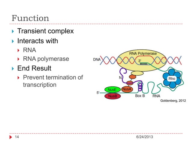 A Basic Understanding of Intrinsically Disordered Proteins | PPTX ...