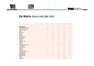 [Dutch] BIM Informatieniveaus Nederland | PDF