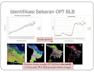 Pemanfaatan Hyperspectral dalam Bidang Pertanian | PDF