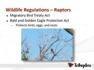 Surface Disturbances and Ecological Resources Associated with Oil and ...