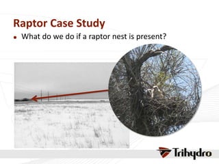 Surface Disturbances and Ecological Resources Associated with Oil and ...