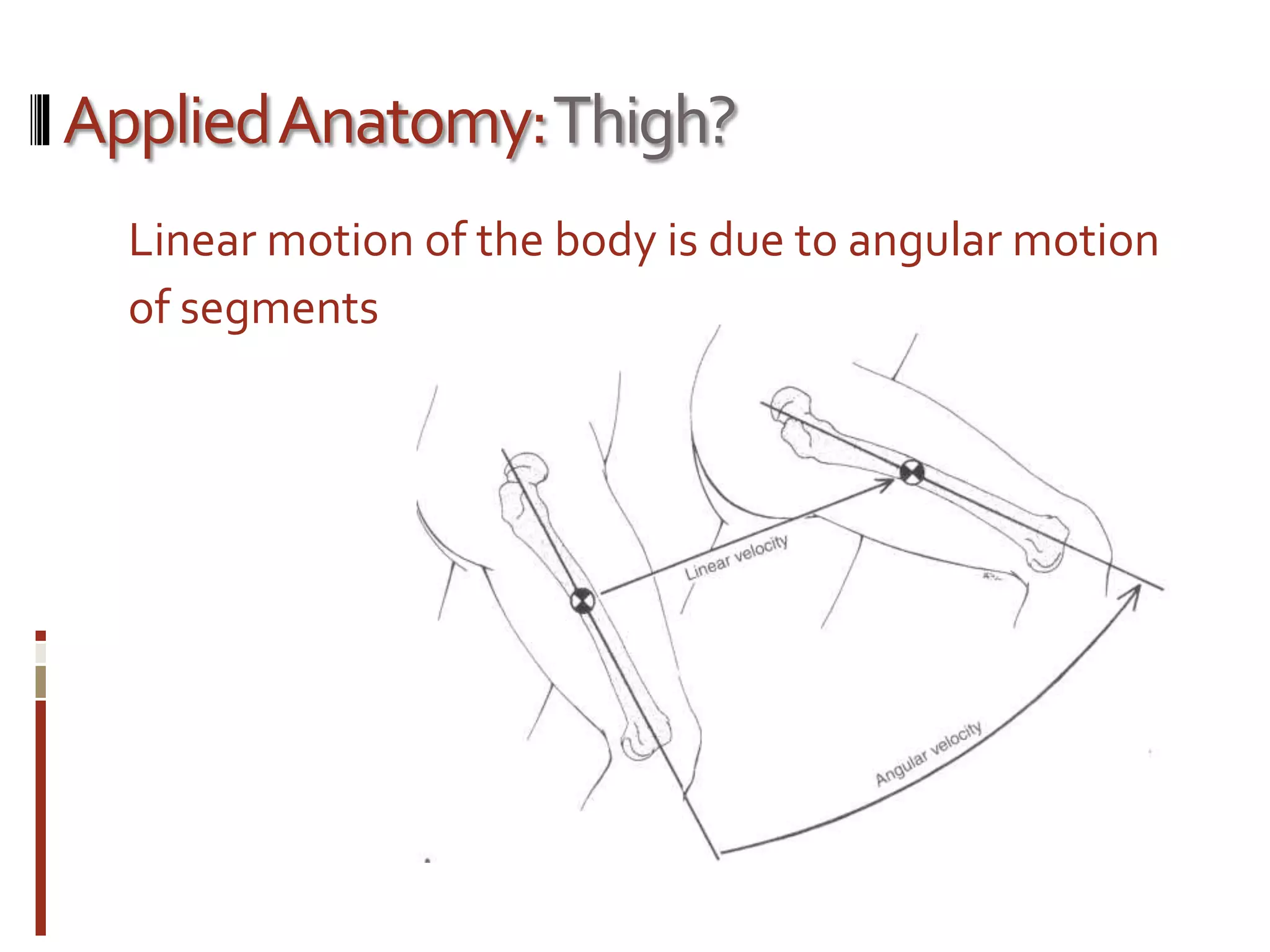 angular kinematics | PPTX