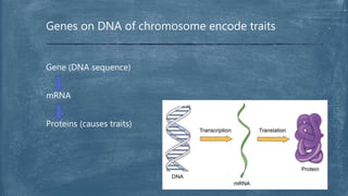 2013431005-160826120100.pdf