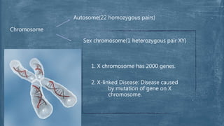 2013431005-160826120100.pdf
