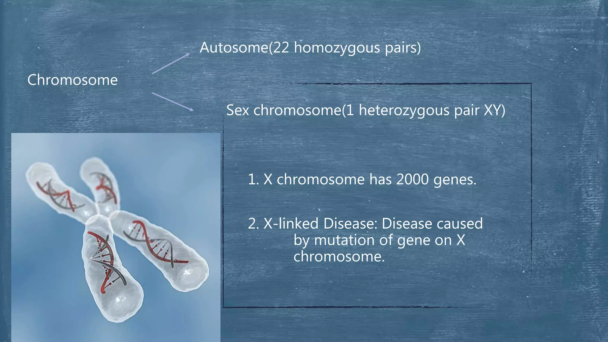 X-linked disease | PPTX