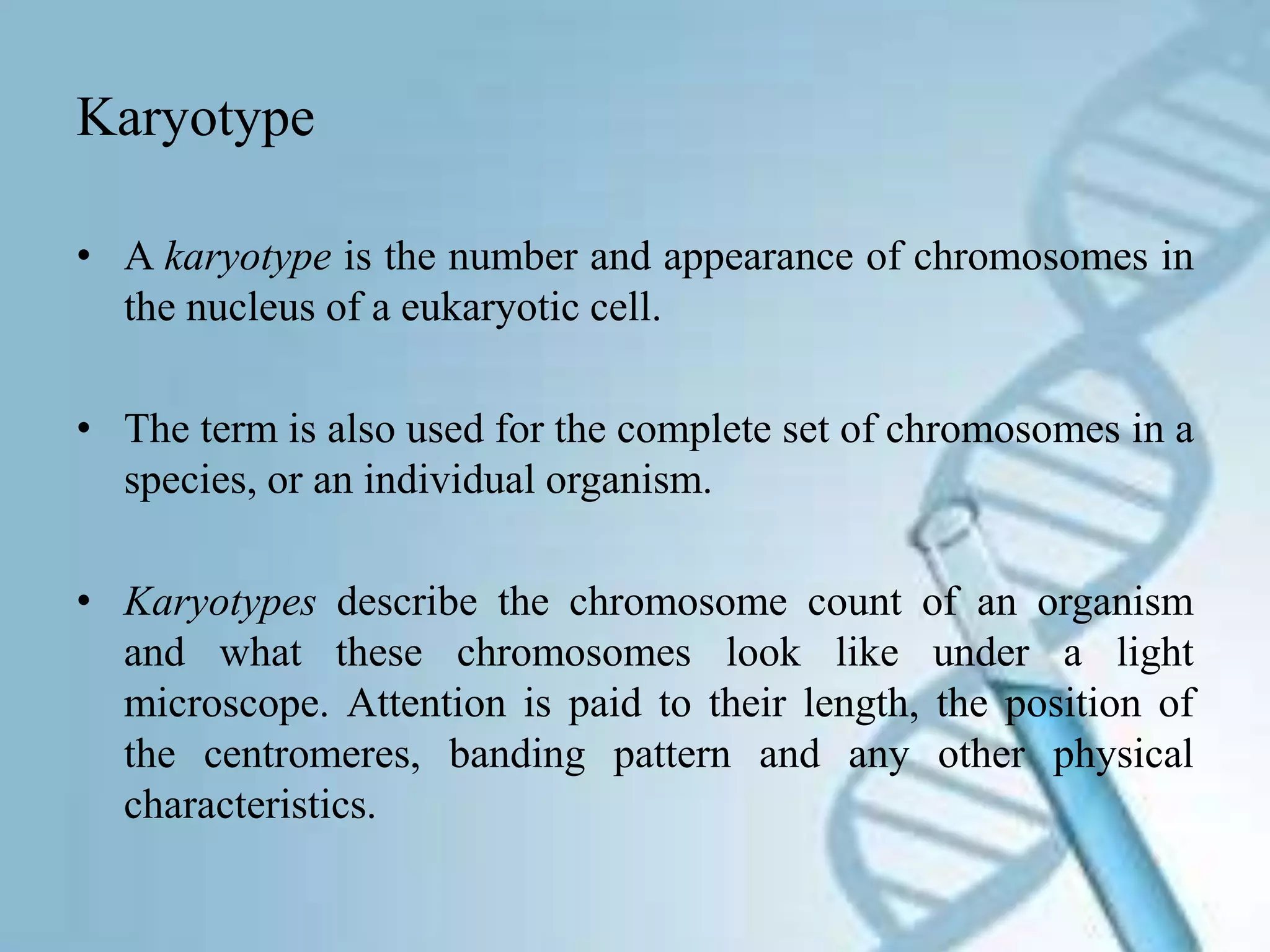 karyotyping | PPTX