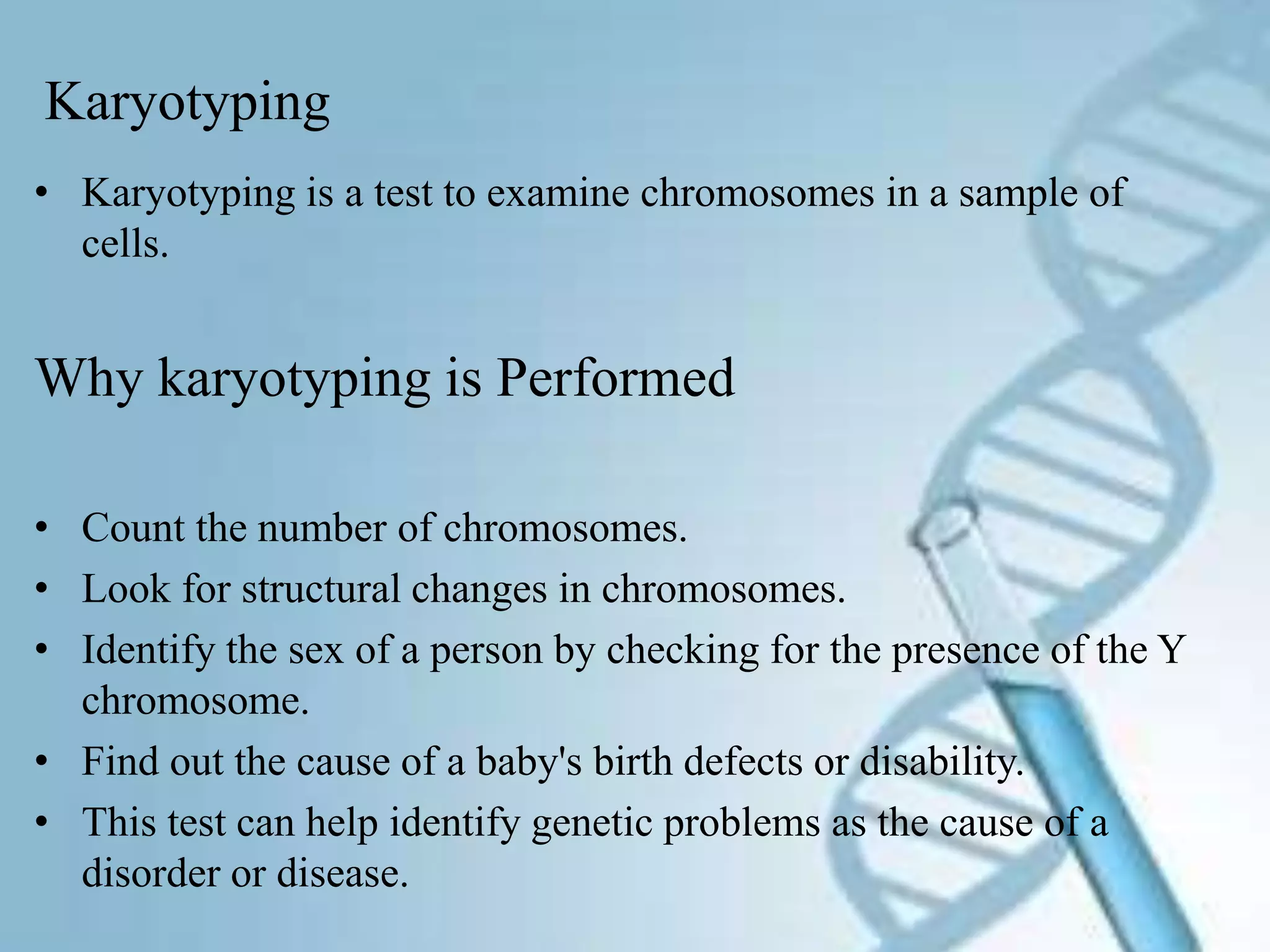 karyotyping | PPTX
