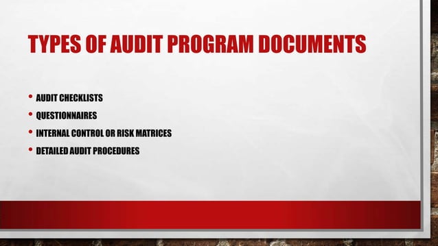 2013 audit net guide to audit planning | PPT