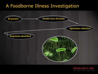 Why Food Safety is Important | PPT
