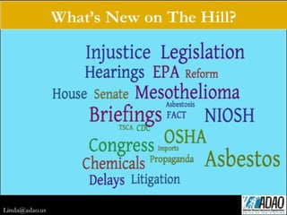 2013 ADAO Silver Sponsor: Early, Lucarelli, Sweeney & Strauss Law Firm ...