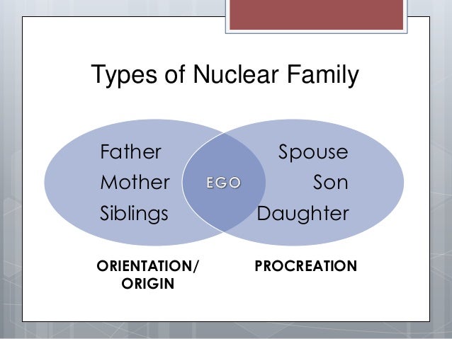 2013 family as a unit of care