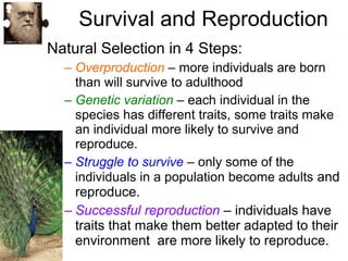 2014 Genes and Heredity | PPT