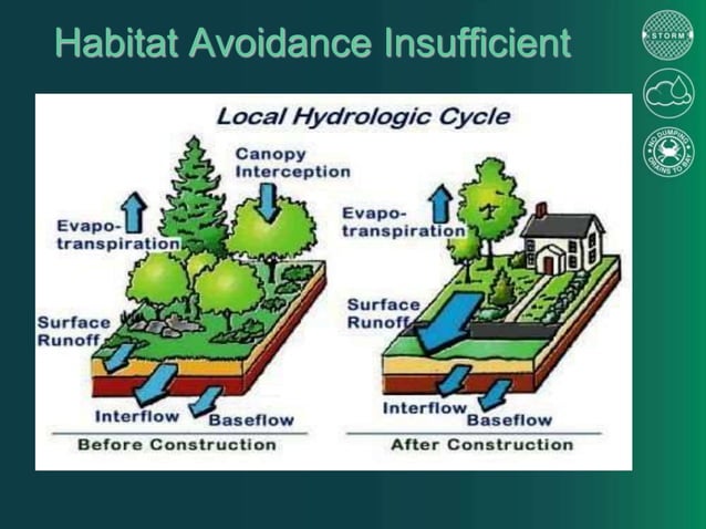 Wetlands and Stormwater Management | PPT
