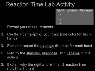 Nervous System | PPT