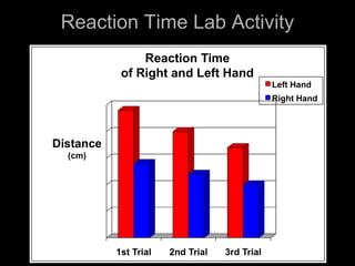 Nervous System | PPT