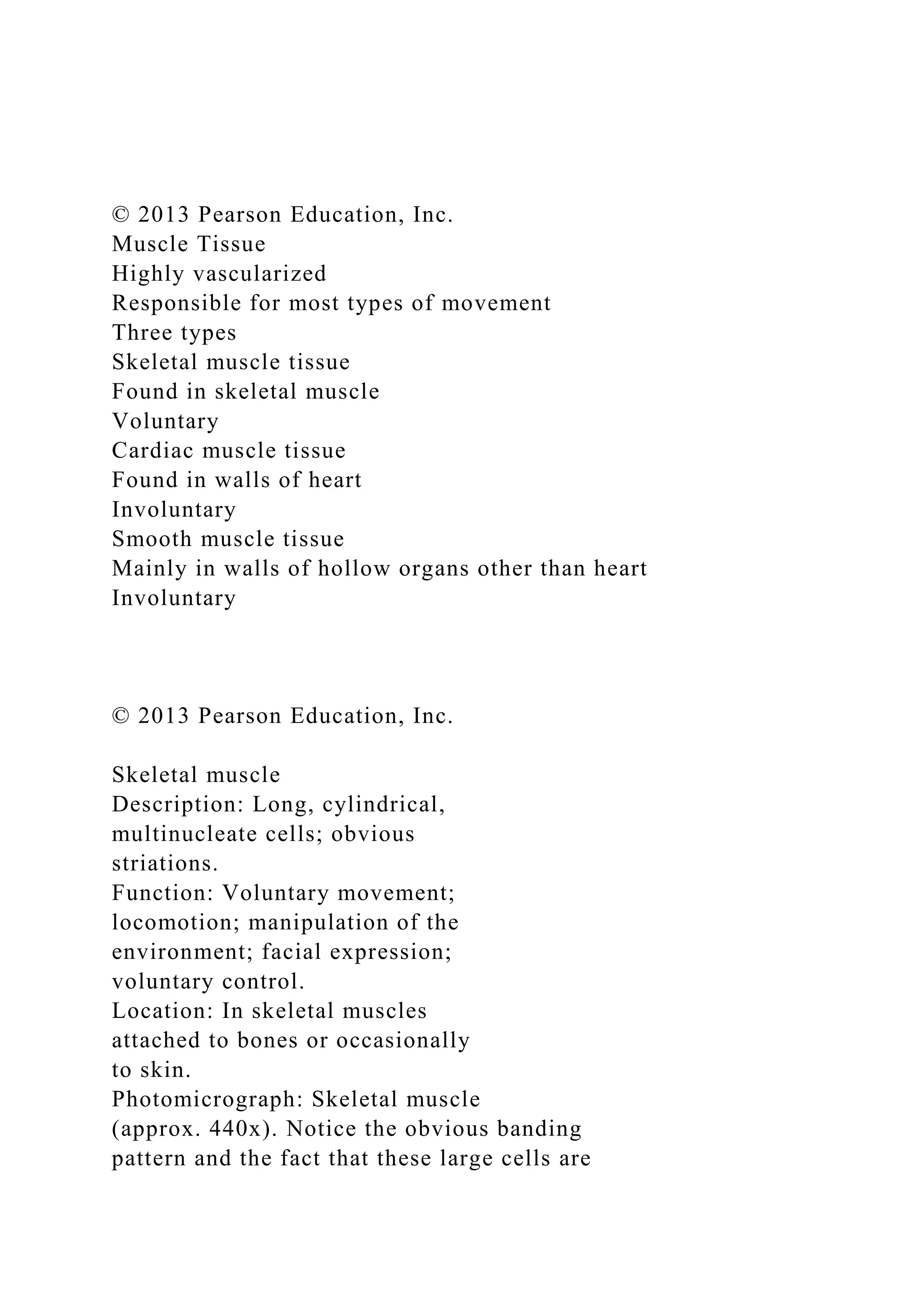 © 2013 Pearson Education, Inc.Muscle TissueHighly vasculariz.docx ...