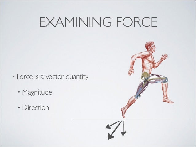 Neuromechanics of Speed Development