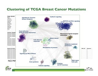 NetBioSIG2013-Talk Robin Haw | PPT