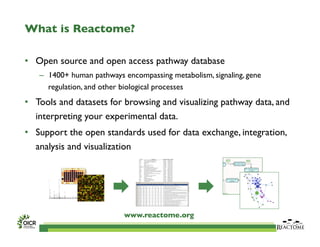 NetBioSIG2013-Talk Robin Haw | PPT