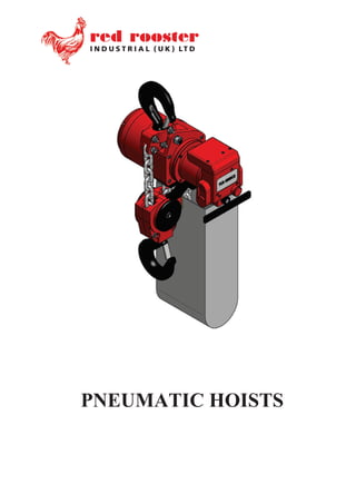 Red Rooster air hoist catalogue | PDF
