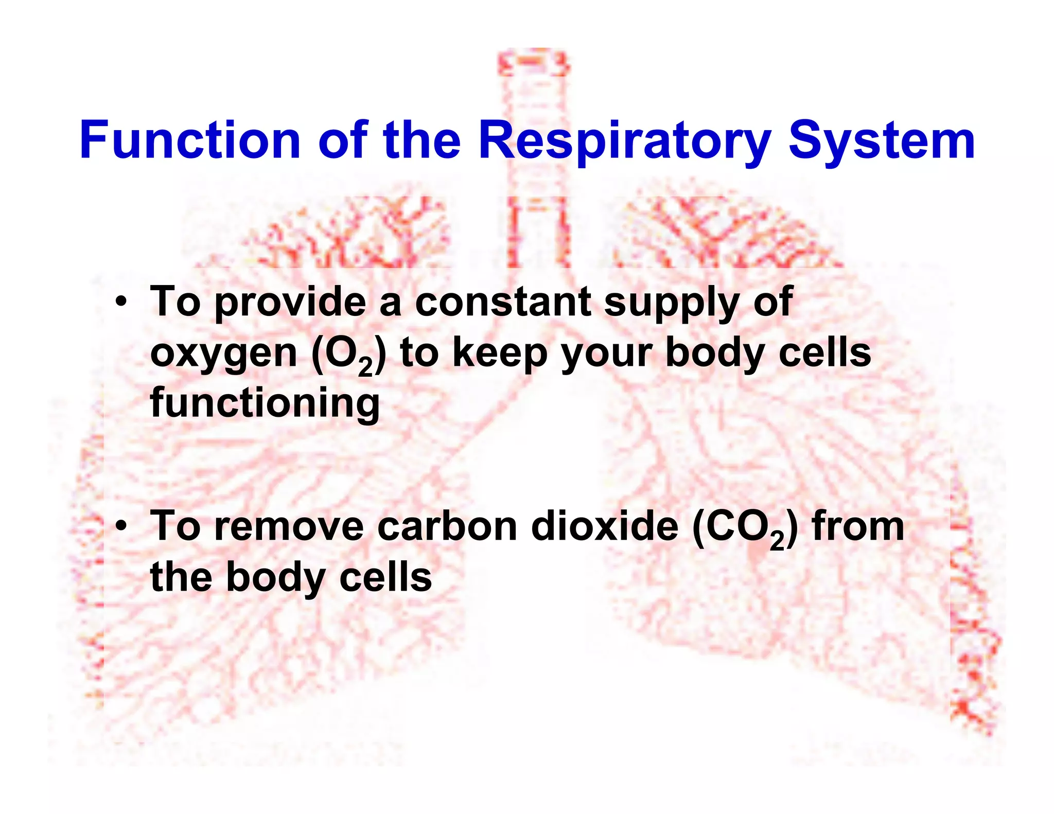 2013 respiratory system pdf | PDF