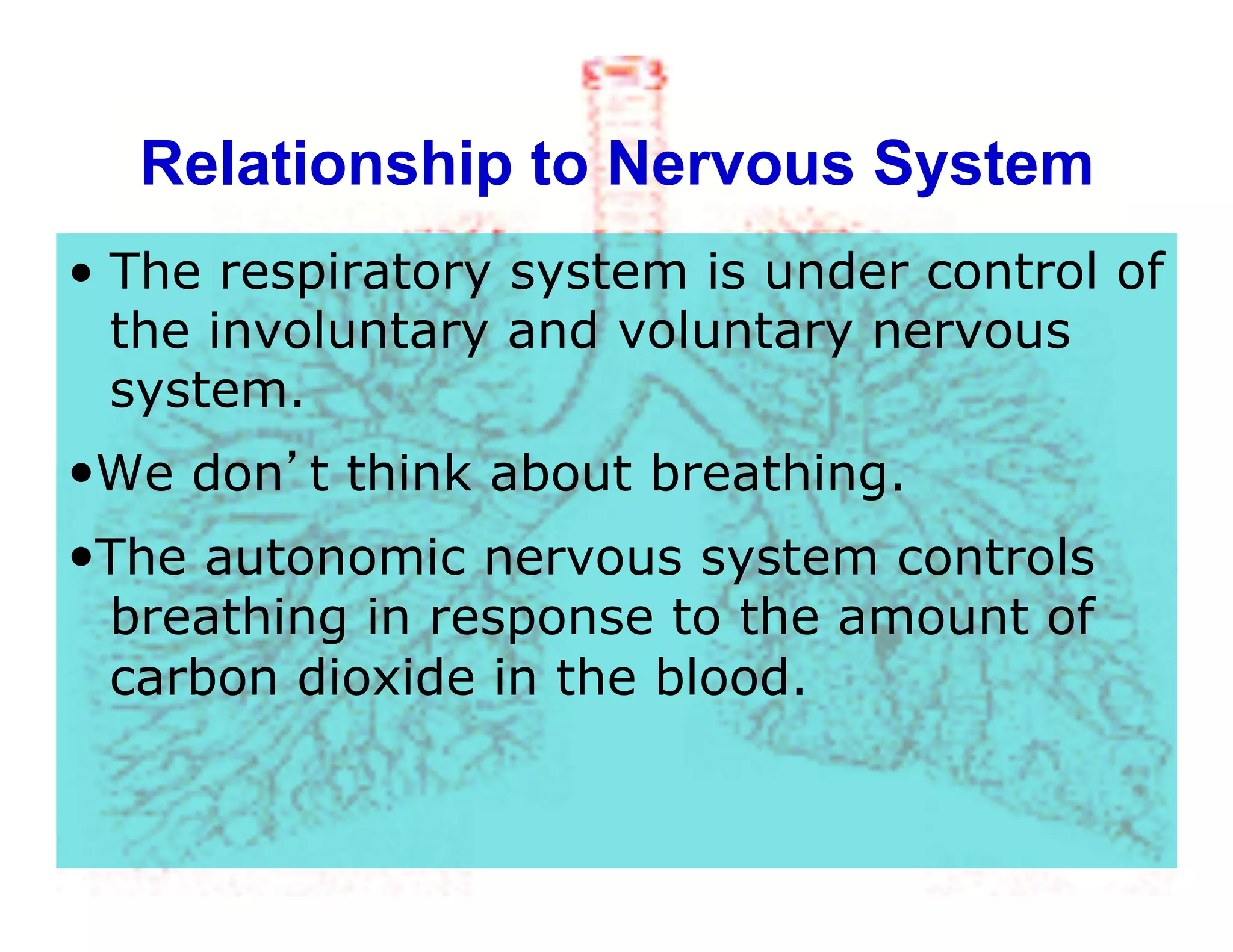 2013 respiratory system pdf | PDF