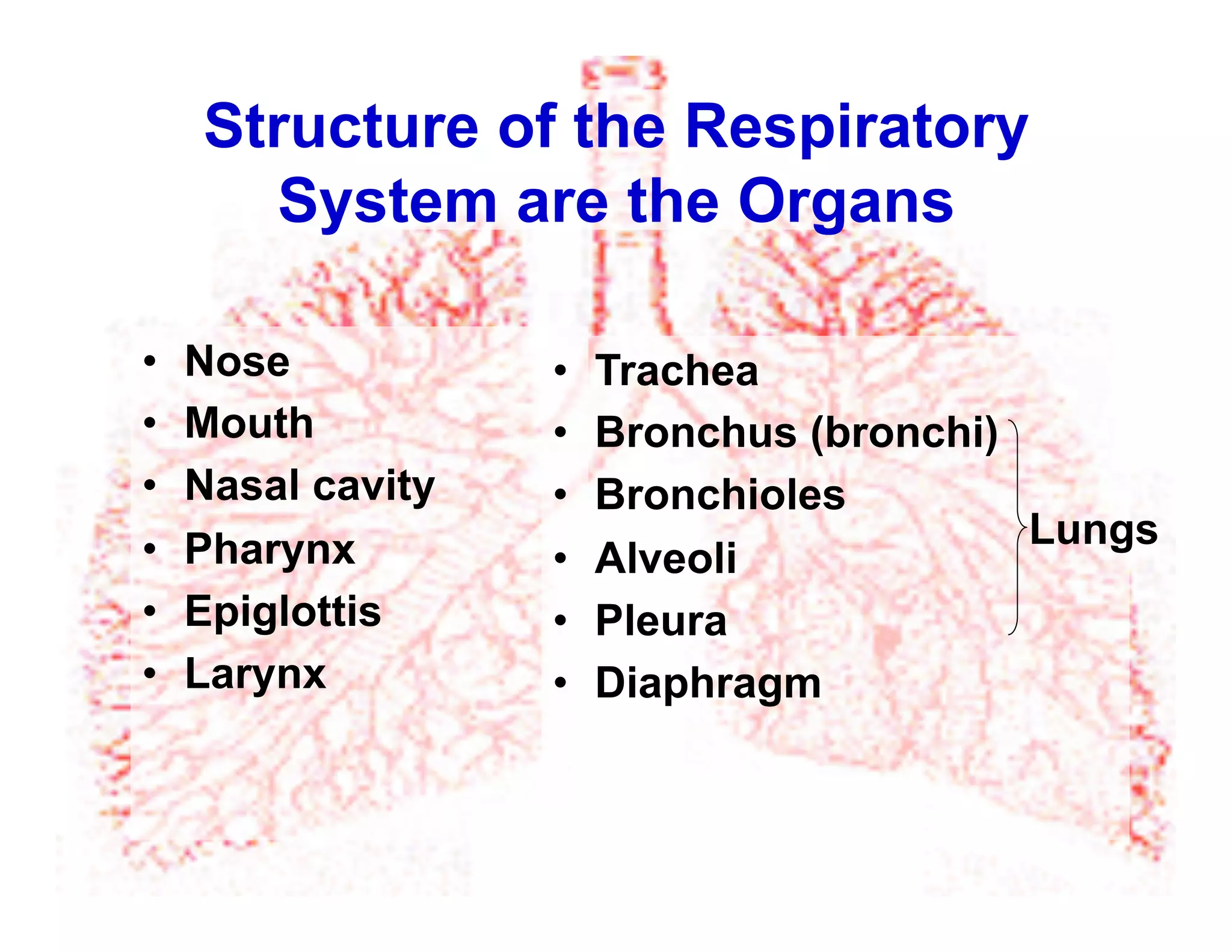 2013 respiratory system pdf | PDF