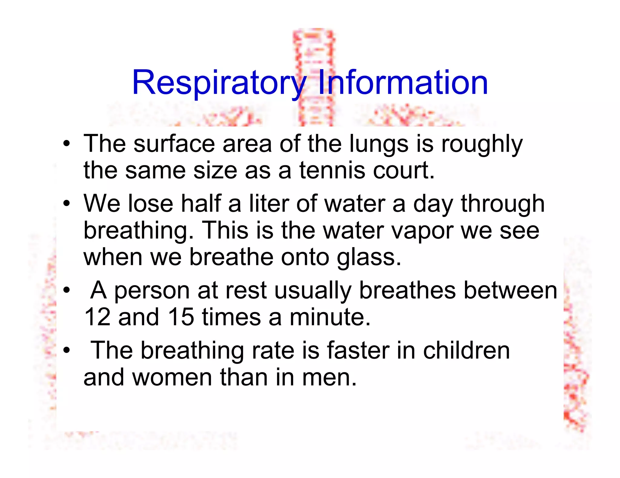 2013 respiratory system pdf | PDF