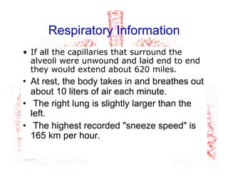 2013 respiratory system pdf | PDF