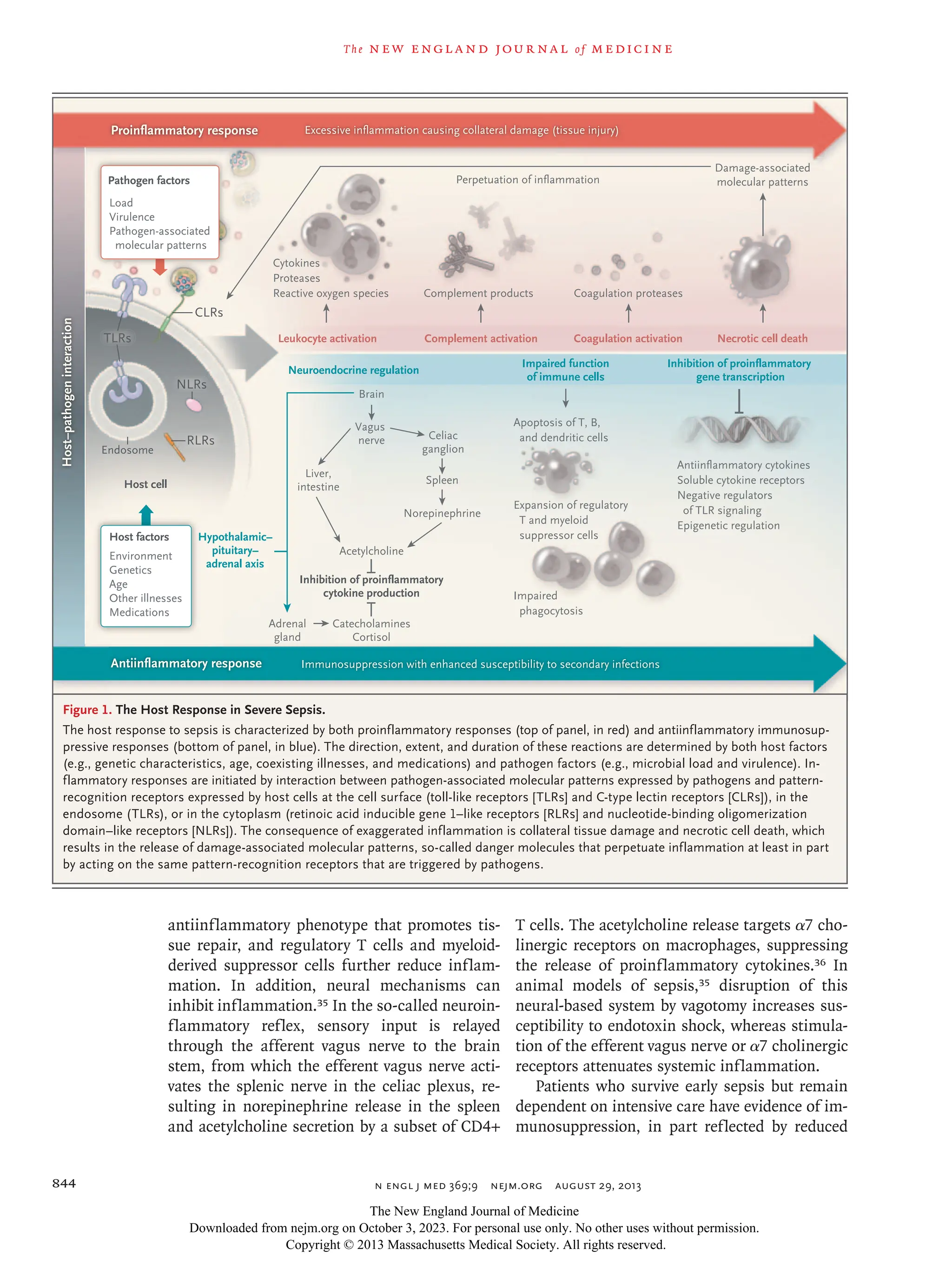 2013 SEVERE SEPSIS AND SEPTIC SHOCK.pdf 2023 | PDF