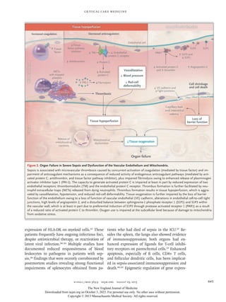 2013 SEVERE SEPSIS AND SEPTIC SHOCK.pdf 2023 | PDF