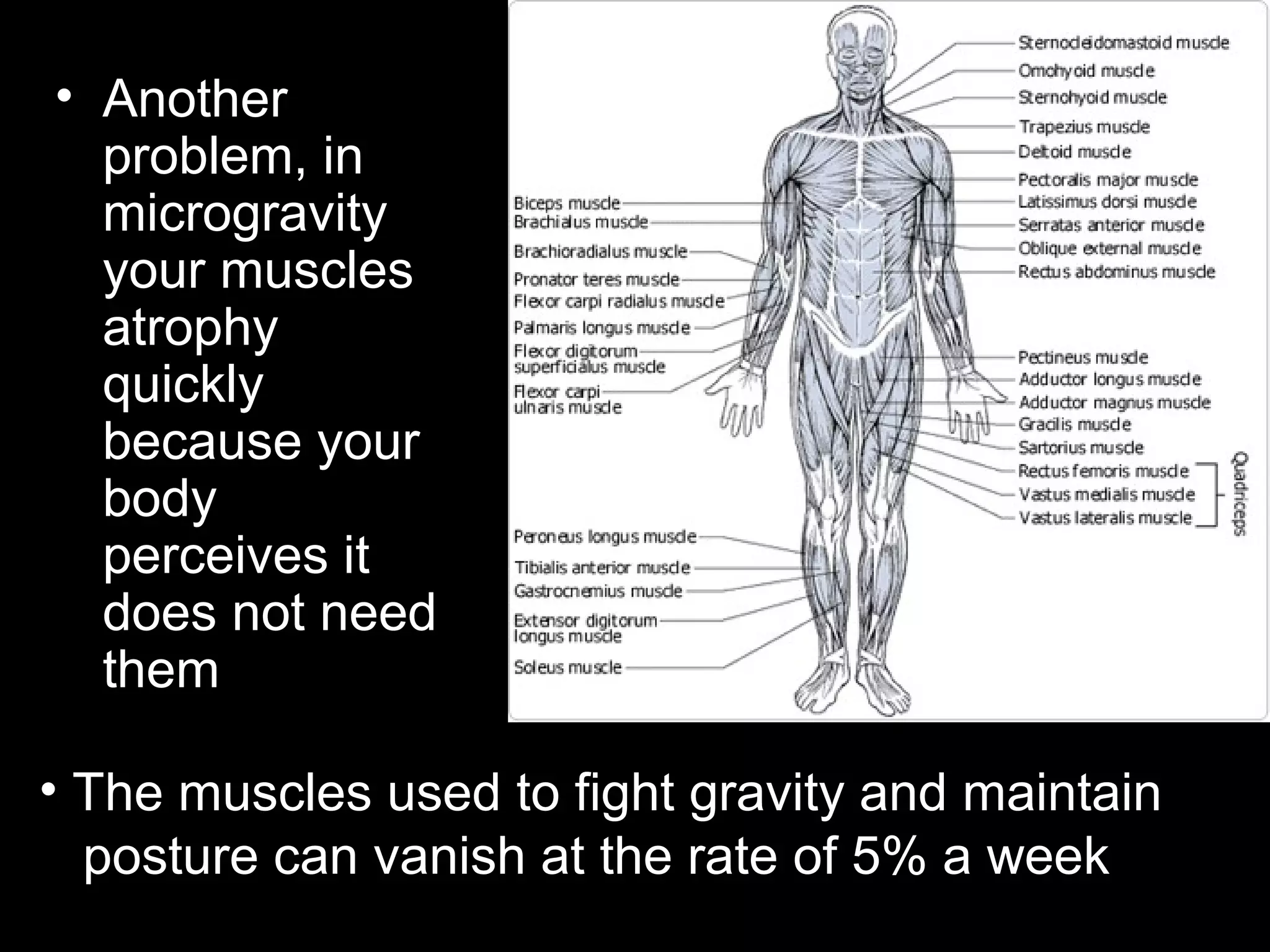 Human Physiology and Anatomy in Space 2013 | PPT
