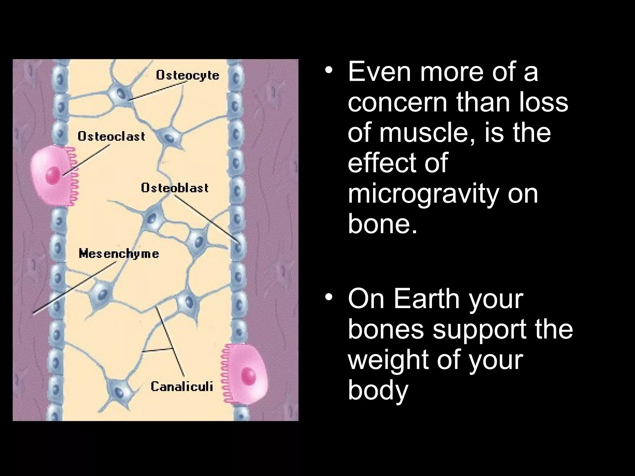 Human Physiology and Anatomy in Space 2013 | PPT