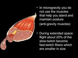 Human Physiology and Anatomy in Space 2013 | PPT