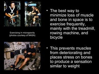 Human Physiology and Anatomy in Space 2013 | PPT