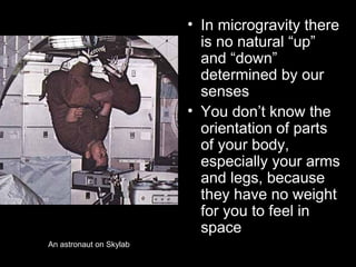 Human Physiology and Anatomy in Space 2013 | PPT