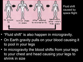 Human Physiology and Anatomy in Space 2013 | PPT