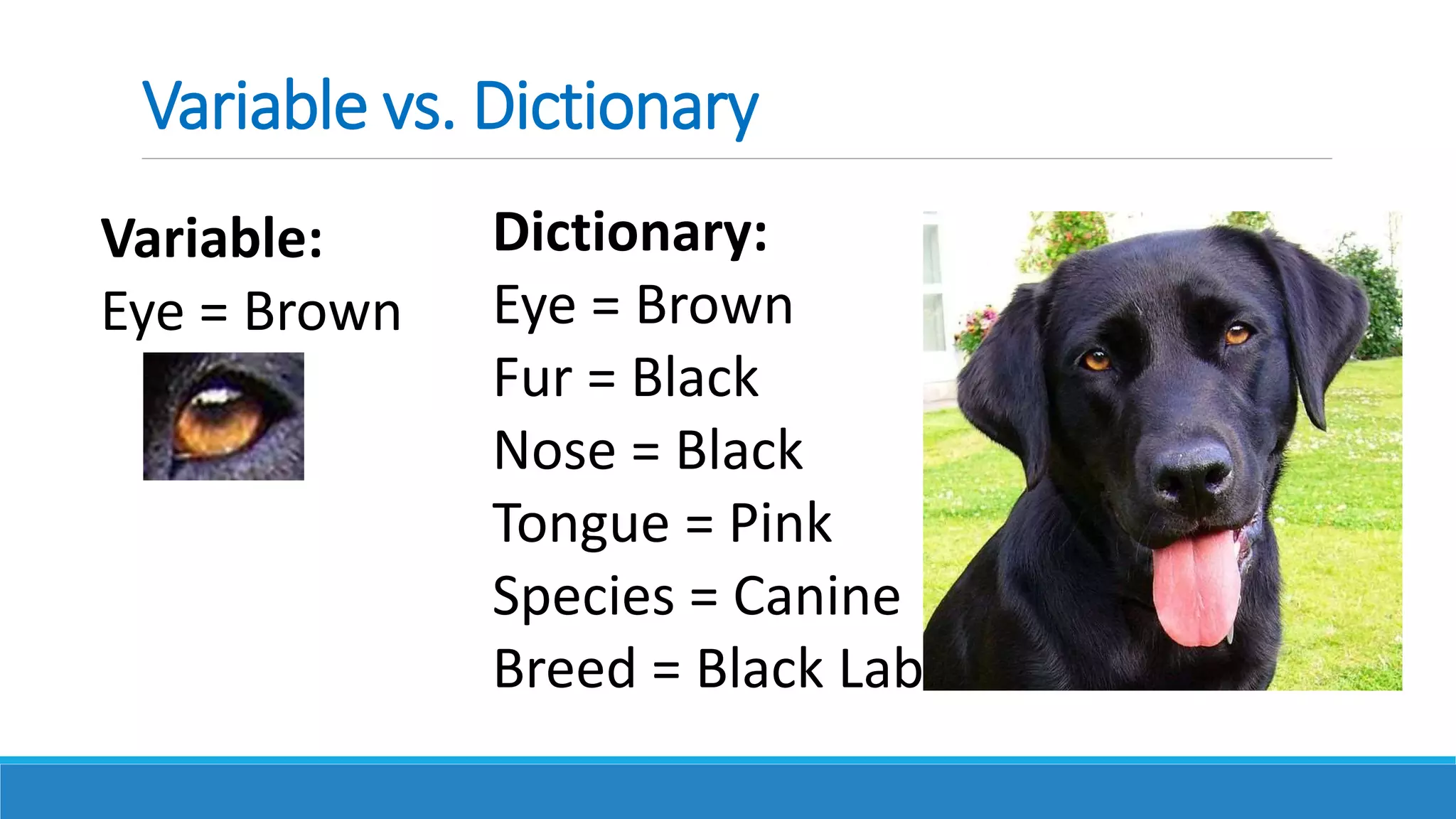 2013 workflow basics | PPTX