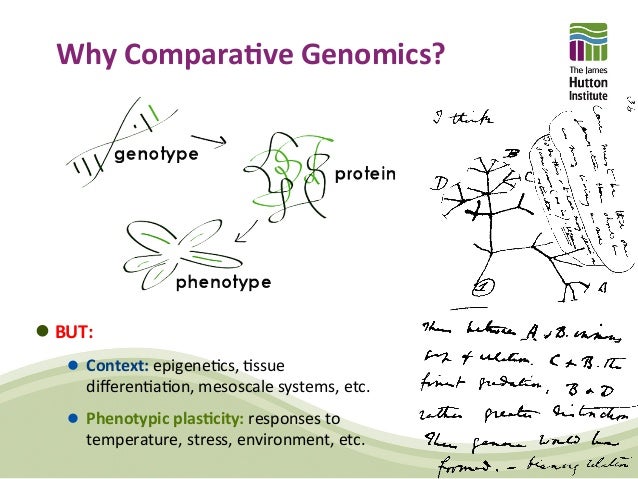 Comparative Genomics and Visualisation - Part 1