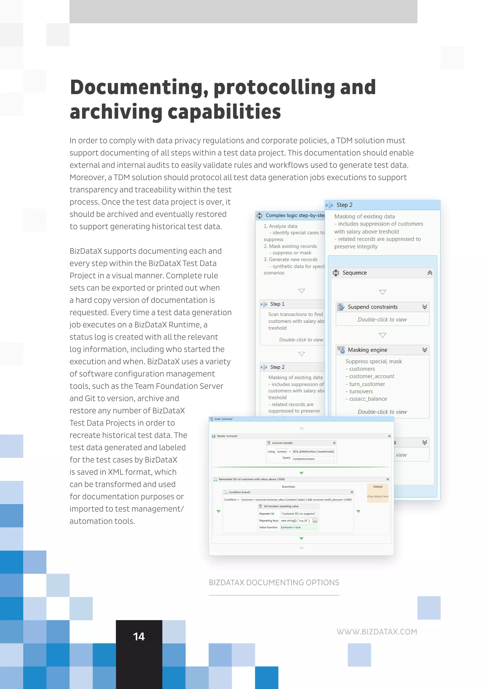 BizDataX White paper Test Data Management | PDF