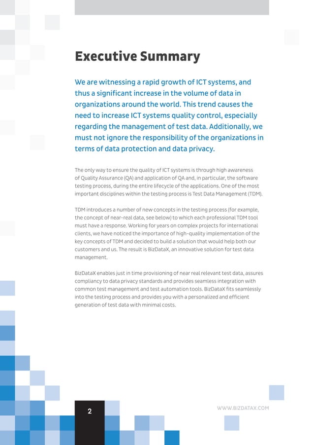 BizDataX White paper Test Data Management | PDF
