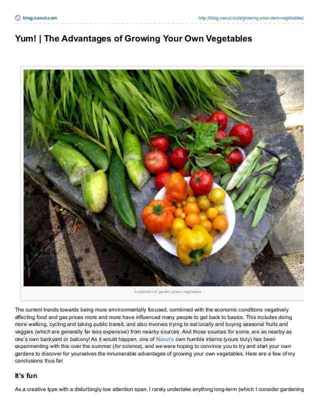 YUM | The Advantages of Growing your own Vegetables YUM | The Advantages of Growing your own Vegetables