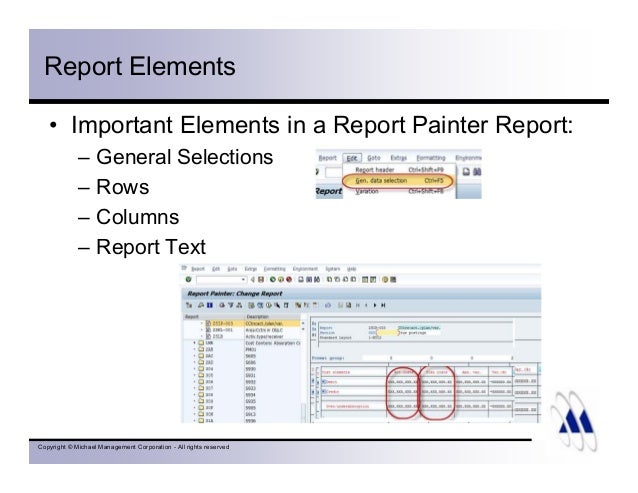Introduction To Report Painter